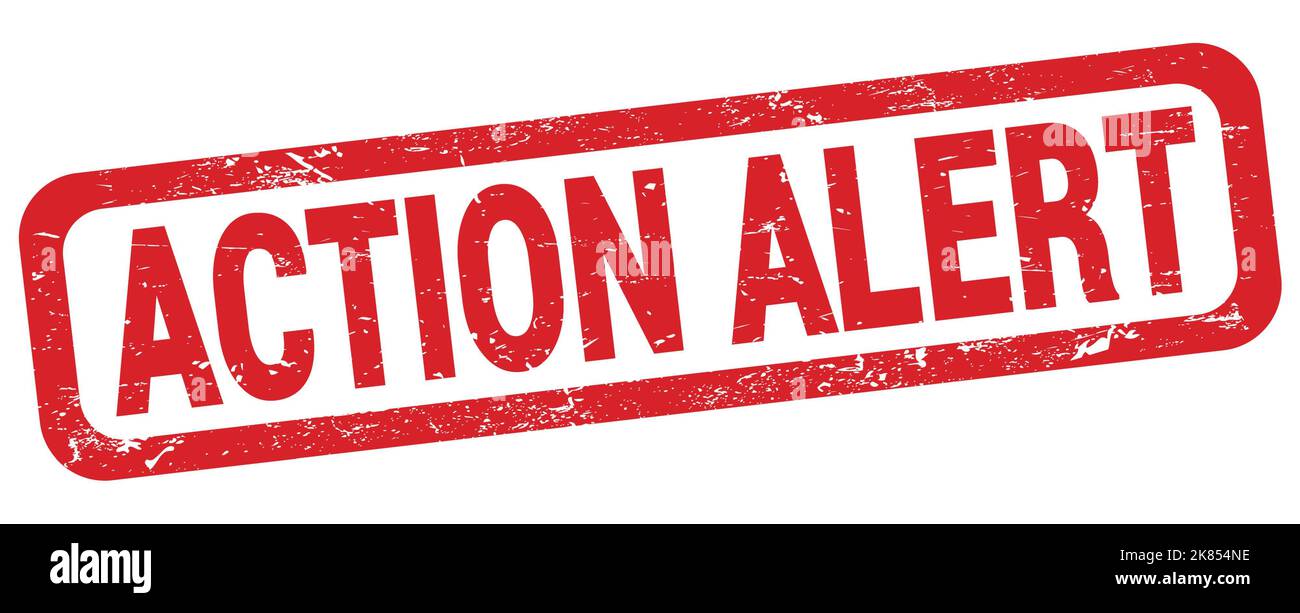 ACTION ALERT text written on red rectangle stamp sign Stock Photo - Alamy