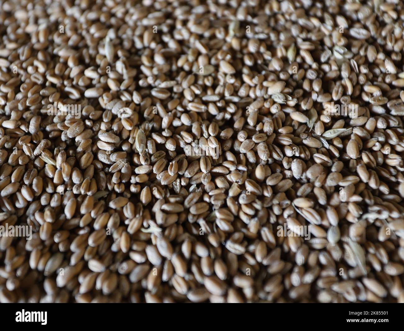 5000 tons hi-res stock photography and images - Alamy