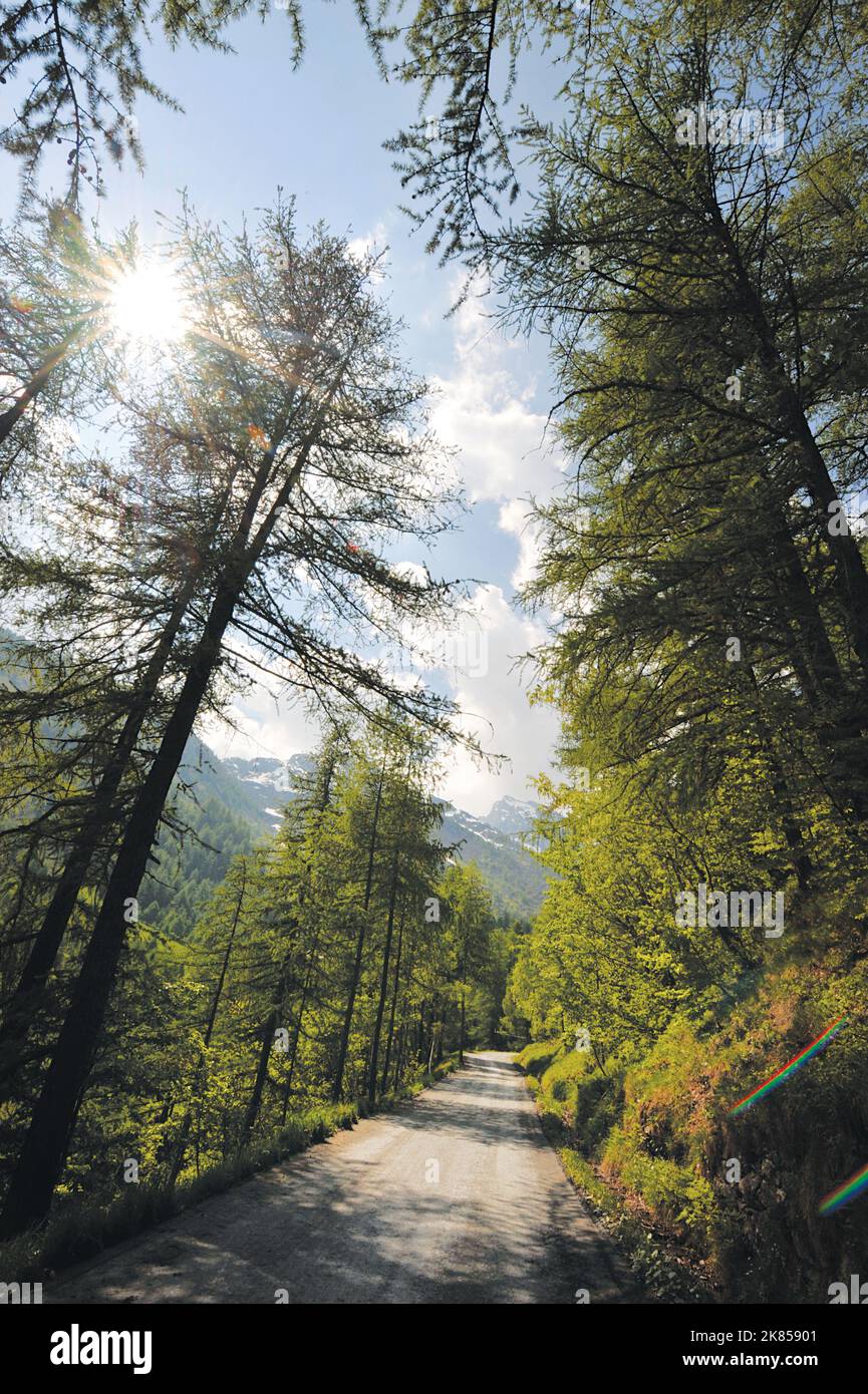 Colle delle Finestre as published in the book Mountain High, The ...