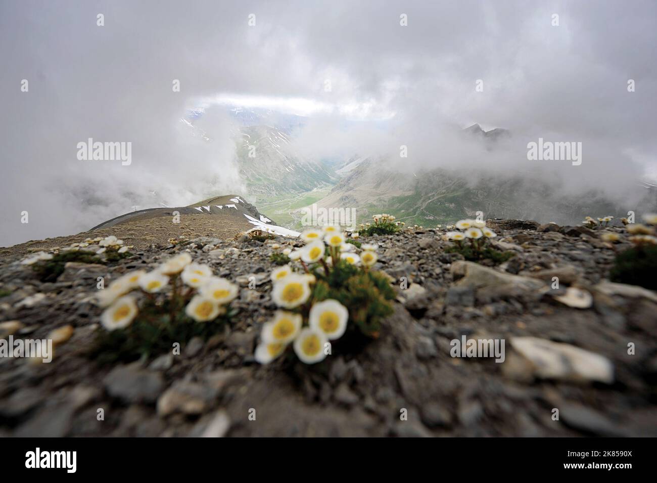 Col de la Bonette, France as published in the book Mountain High, The ...
