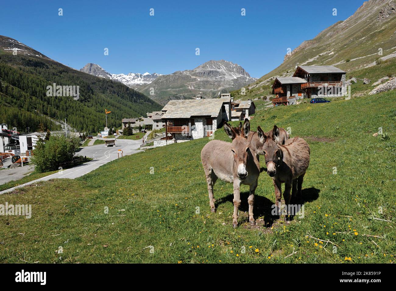 Col de l'iseran as published in the book Mountain High, The greatest ...