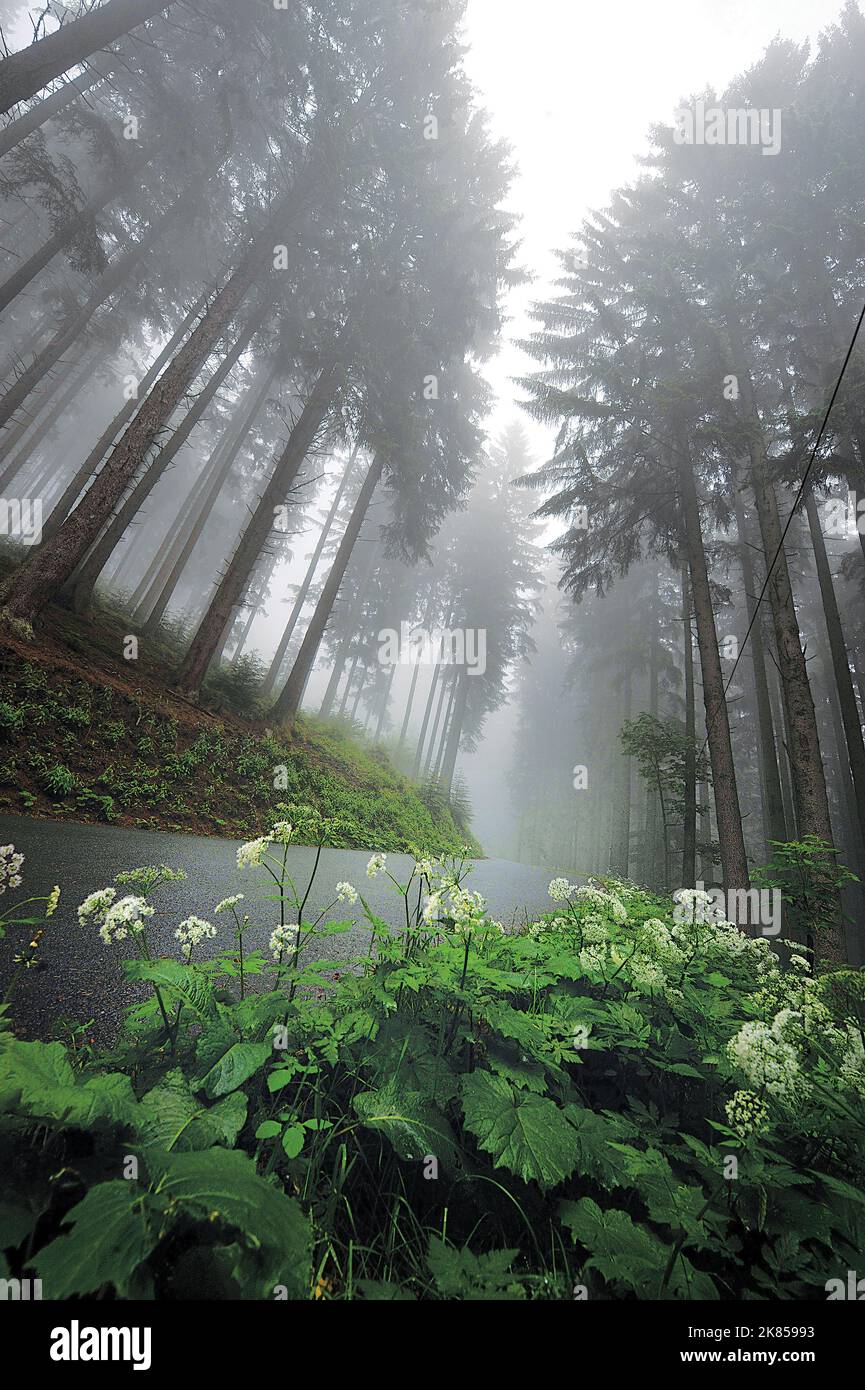 Kitzbuheler horn, Austria as published in the book Mountain High, The ...