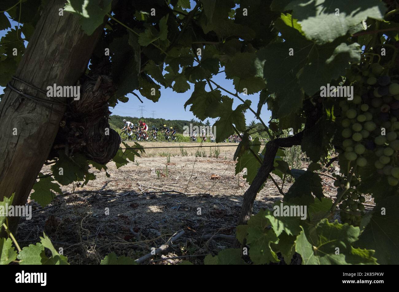 Ruben Plaza Moilina team Lampre Merida wins the stage in a solo sprint ...