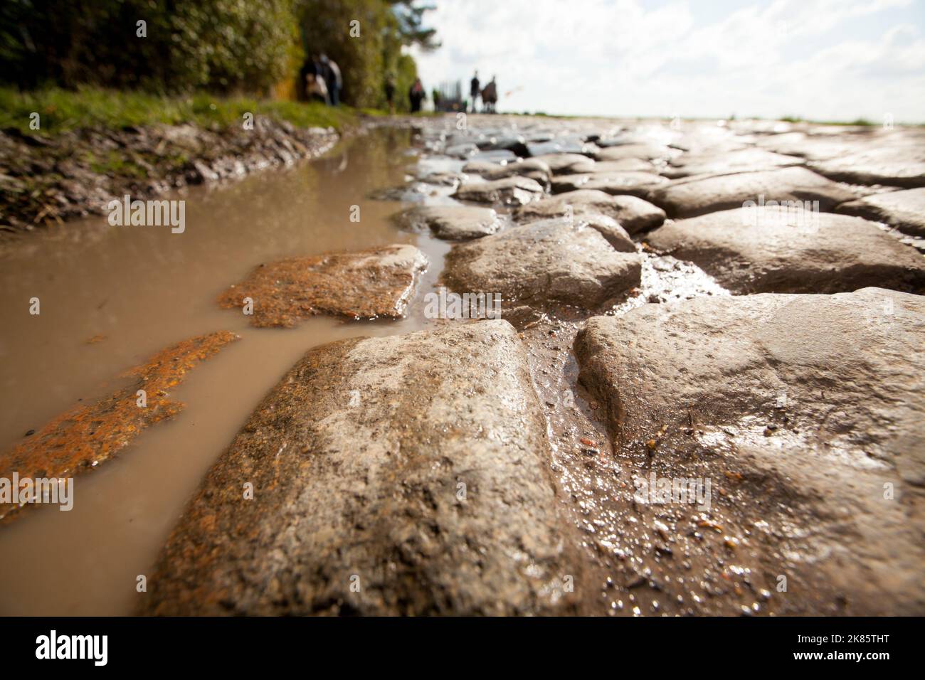 The wet cobbles of the Carrefour de lÕArbre Stock Photo - Alamy