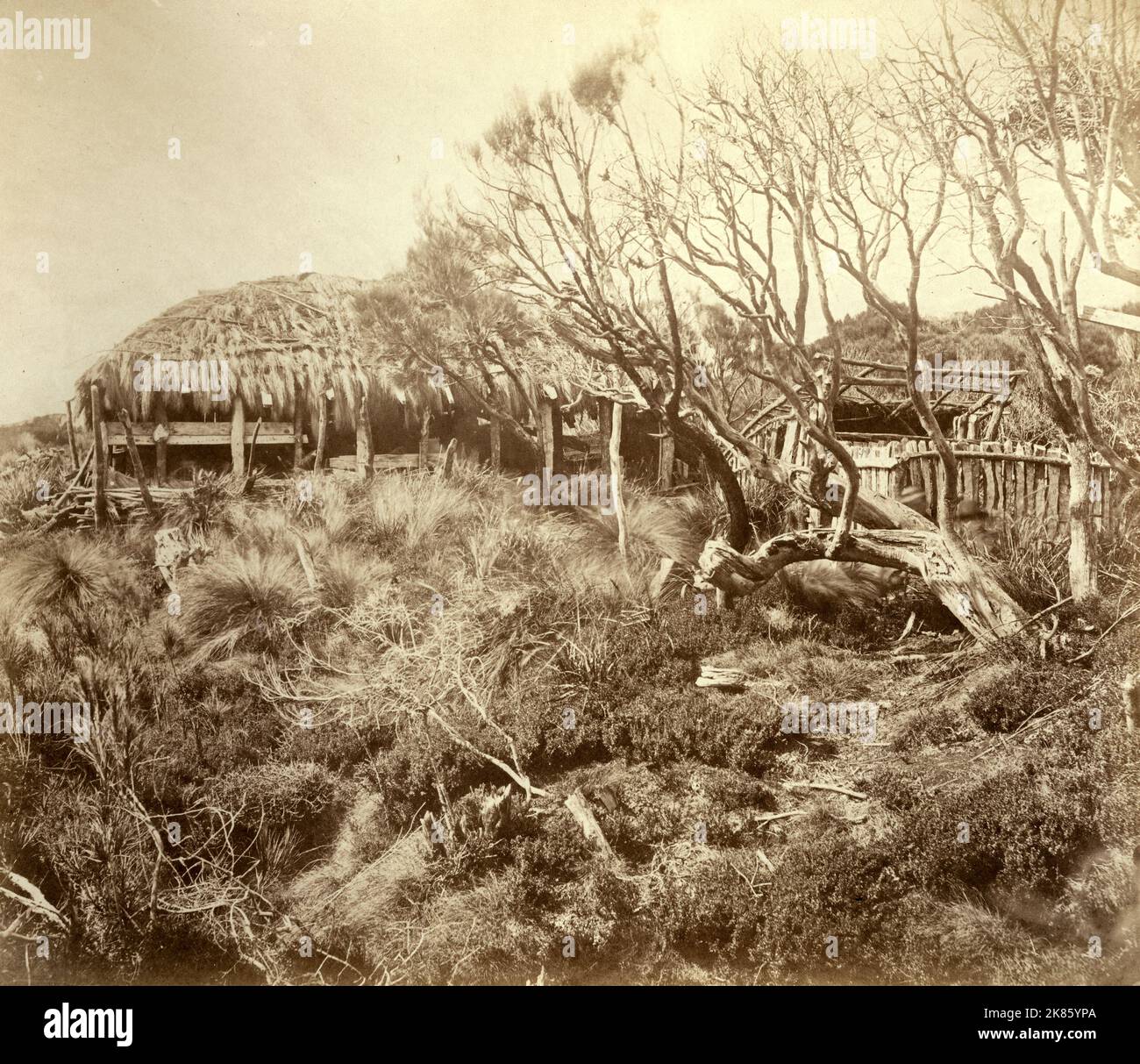 Remains of huts built by the survivors of the General Grant shipwreck ...