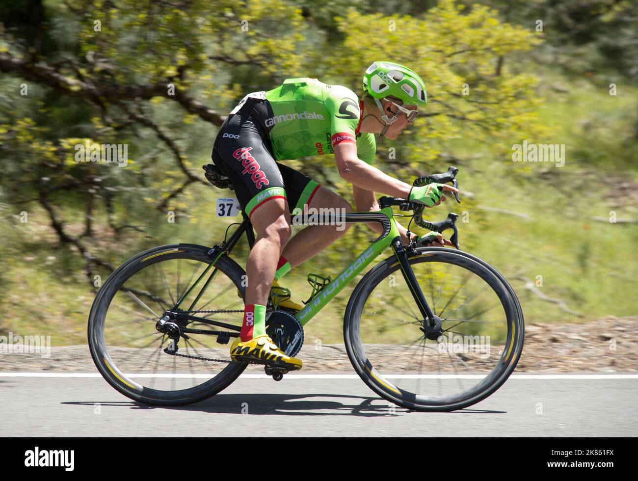 Toms skujins hi-res stock photography and images - Alamy