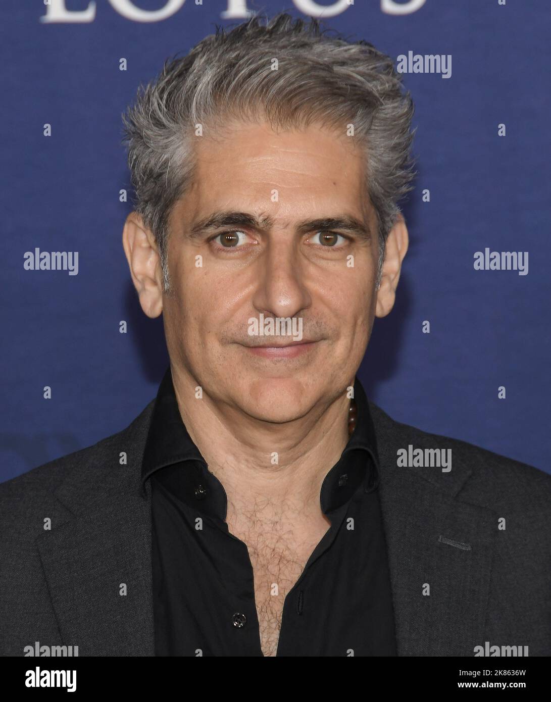 Los Angeles, USA . 20th Oct, 2022. Michael Imperioli arrives at the HBO ...