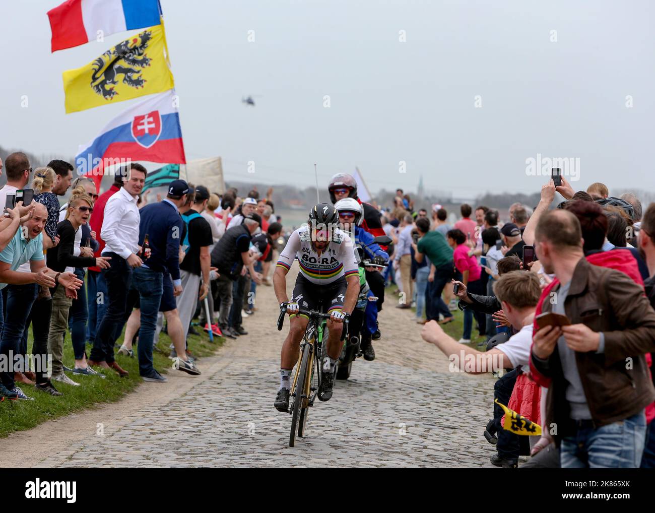 World Champion Peter Sagan (Bora Hangrohe) chasing down the remains of ...