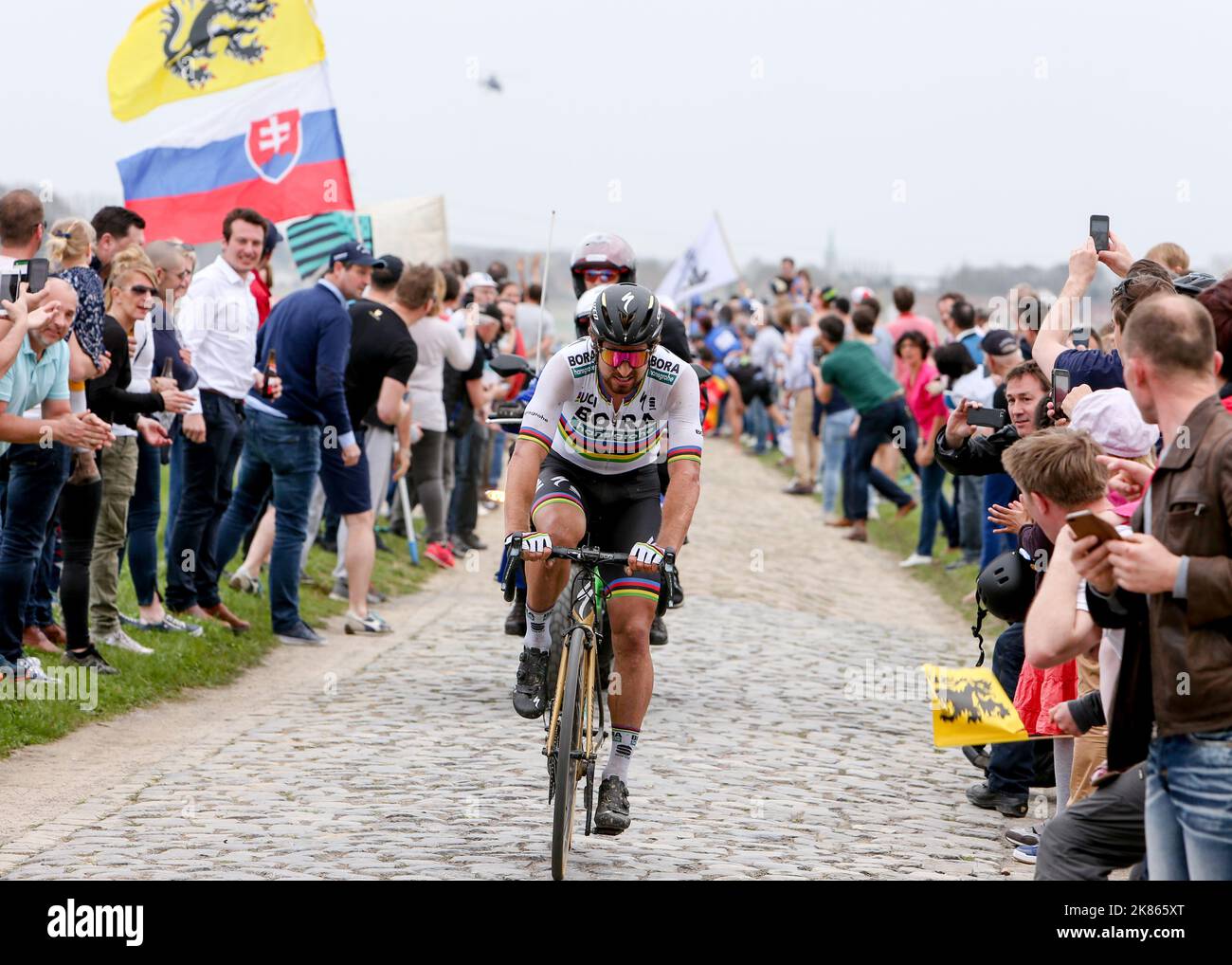 World Champion Peter Sagan (Bora Hangrohe) chasing down the remains of ...