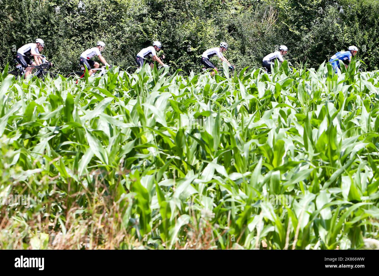 Quick Step Floors team leading team sky and the rest of the peloton as ...