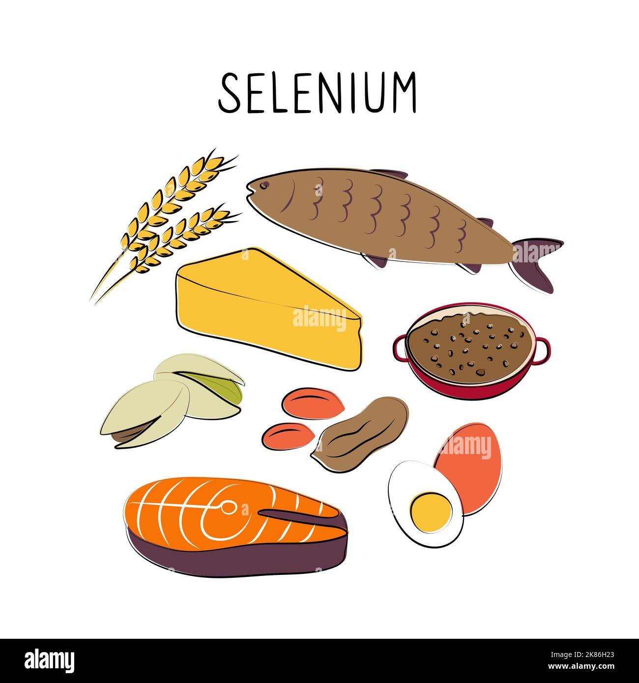 Selenium-containing food. Groups of healthy products containing ...