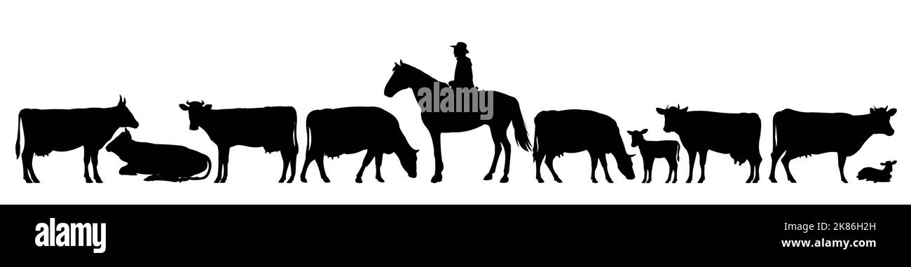 Set of shepherd grazes cows in pasture. Picture silhouette. Farm pets. Animals for milk and ...