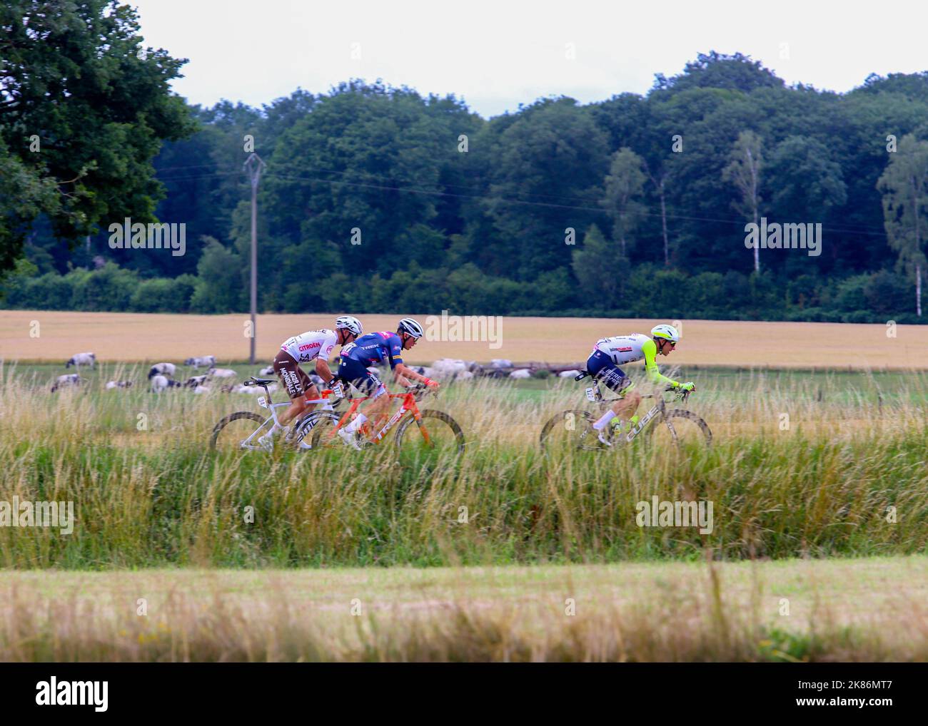 Taco Van der Horn leading the early break during Tour De France, Stage ...