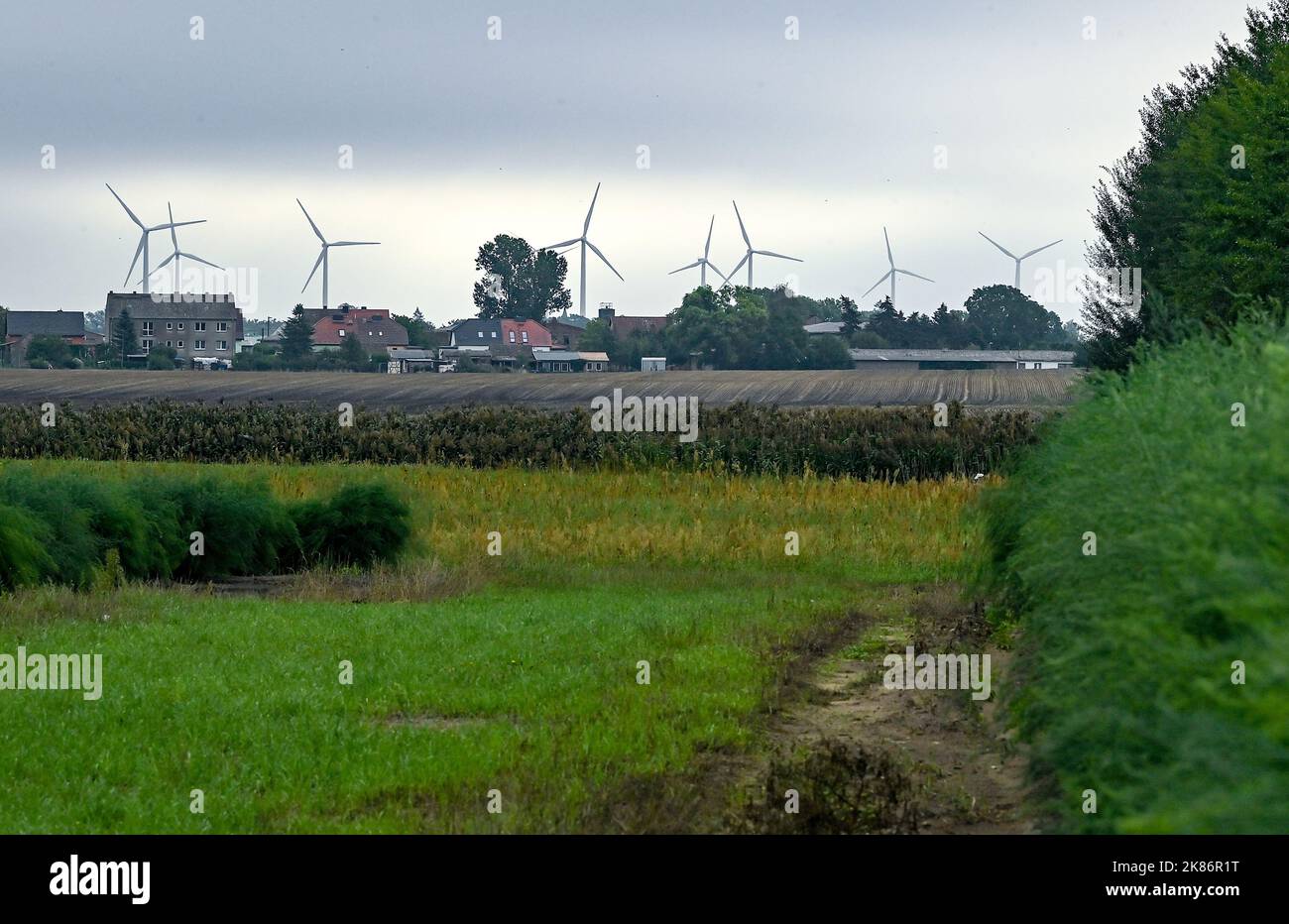 29 August 2022, Brandenburg, Zernikow: Wind turbines can be seen in the ...