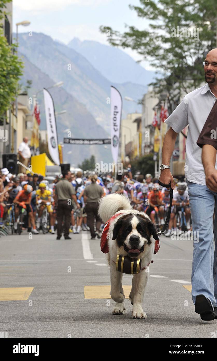 A St Bernarard dog at the sixteenth stage of the Tour de France between ...