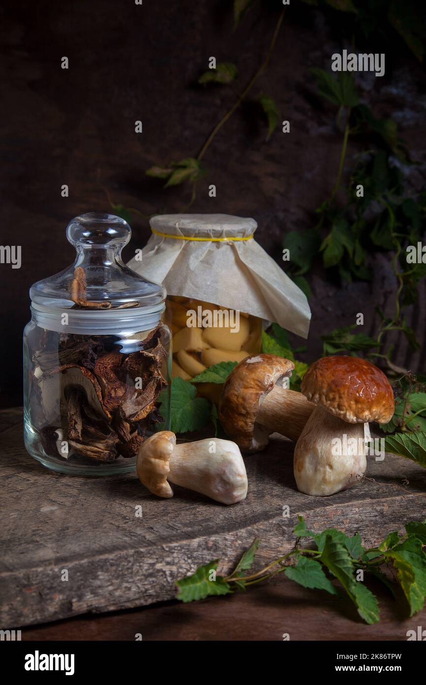 Crop of forest edible mushrooms. Composition of porcini mushrooms (cep ...