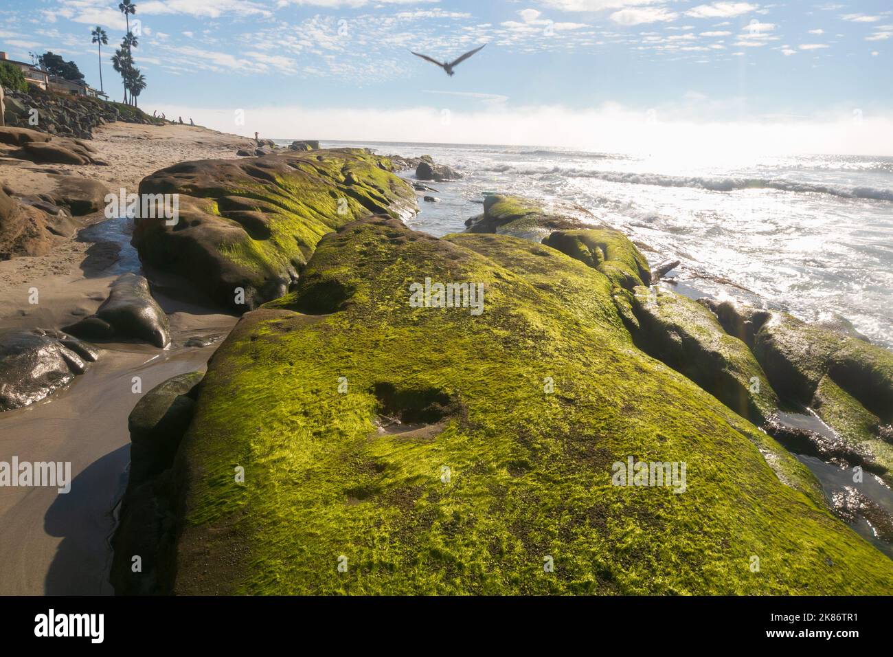 Oct 20 2022 hi-res stock photography and images - Alamy