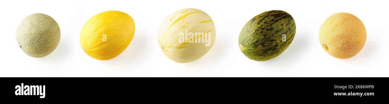Various Melons isolated on white background, front view Stock Photo - Alamy