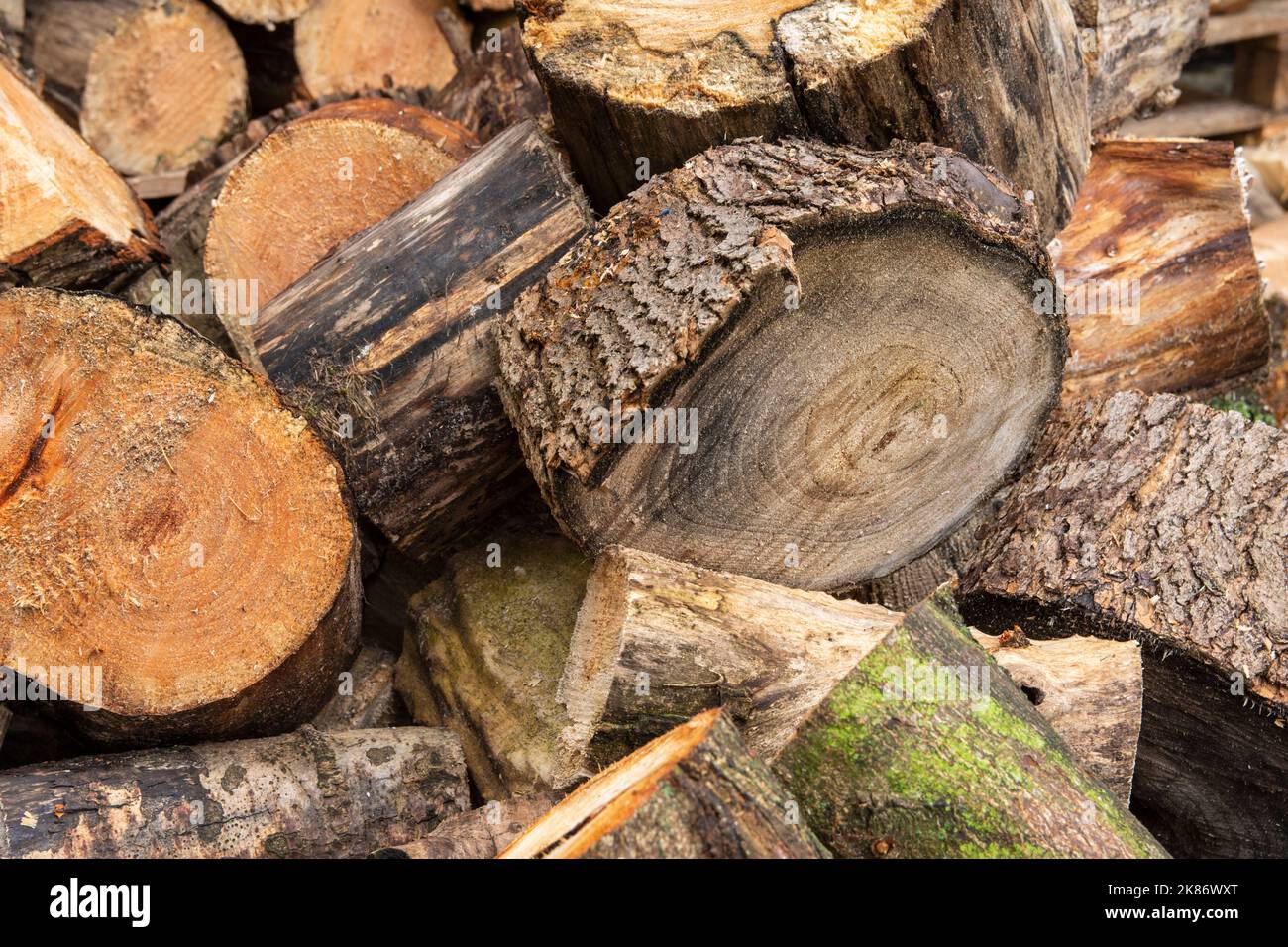 Tree trunks cut and chopped in a heap ready to be laid Stock Photo - Alamy