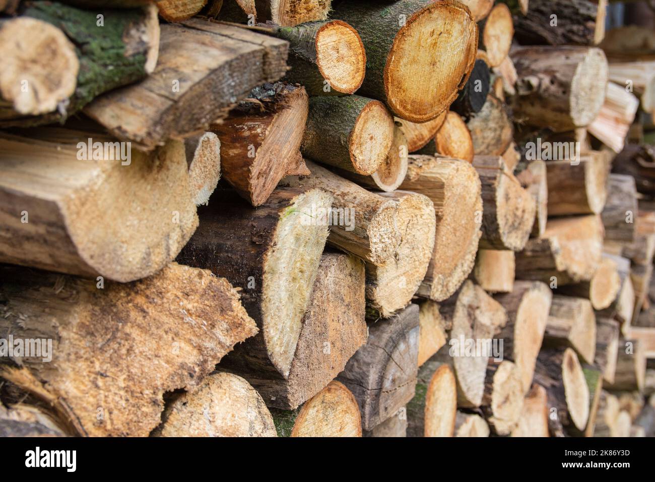 Tree trunks cut and chopped stacked into a wall ready to be burned ...