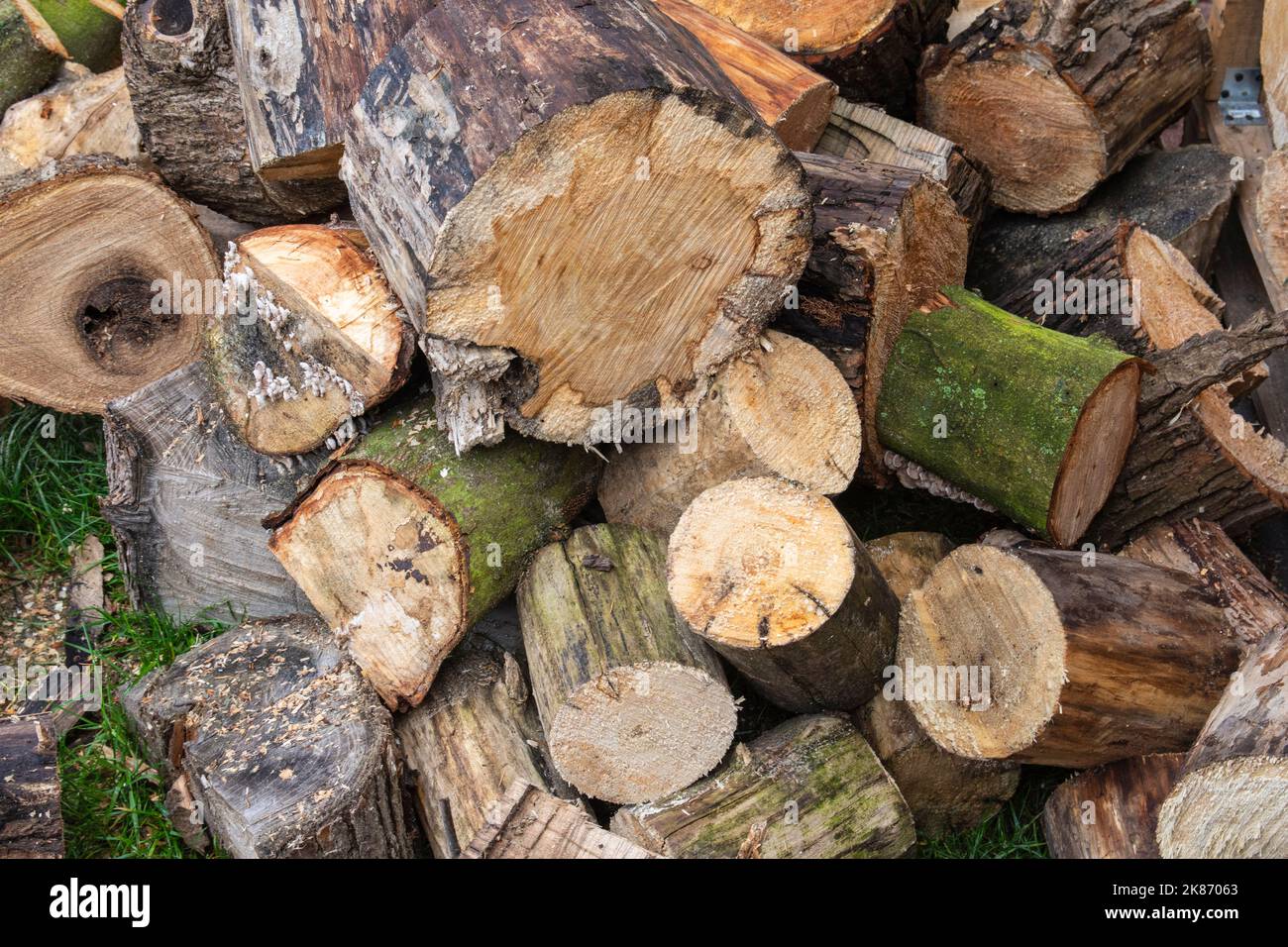 Tree trunks cut and chopped in a heap ready to be laid Stock Photo - Alamy