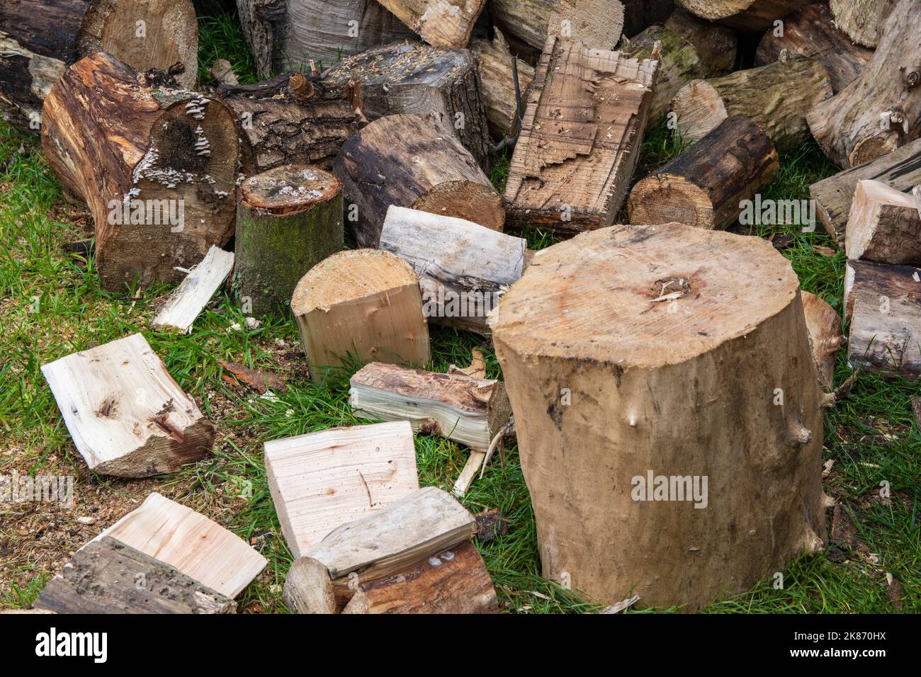 Tree trunks cut and chopped in a heap ready to be laid Stock Photo - Alamy