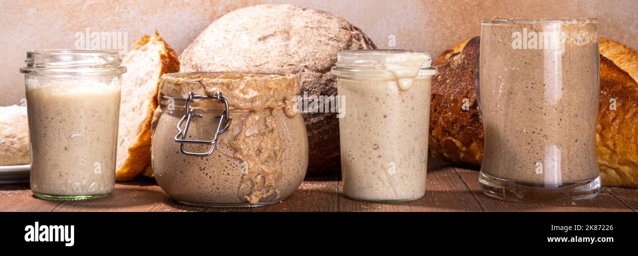 Healthy lifestyle, gluten free fermenting diet. Homemade sourdough ...
