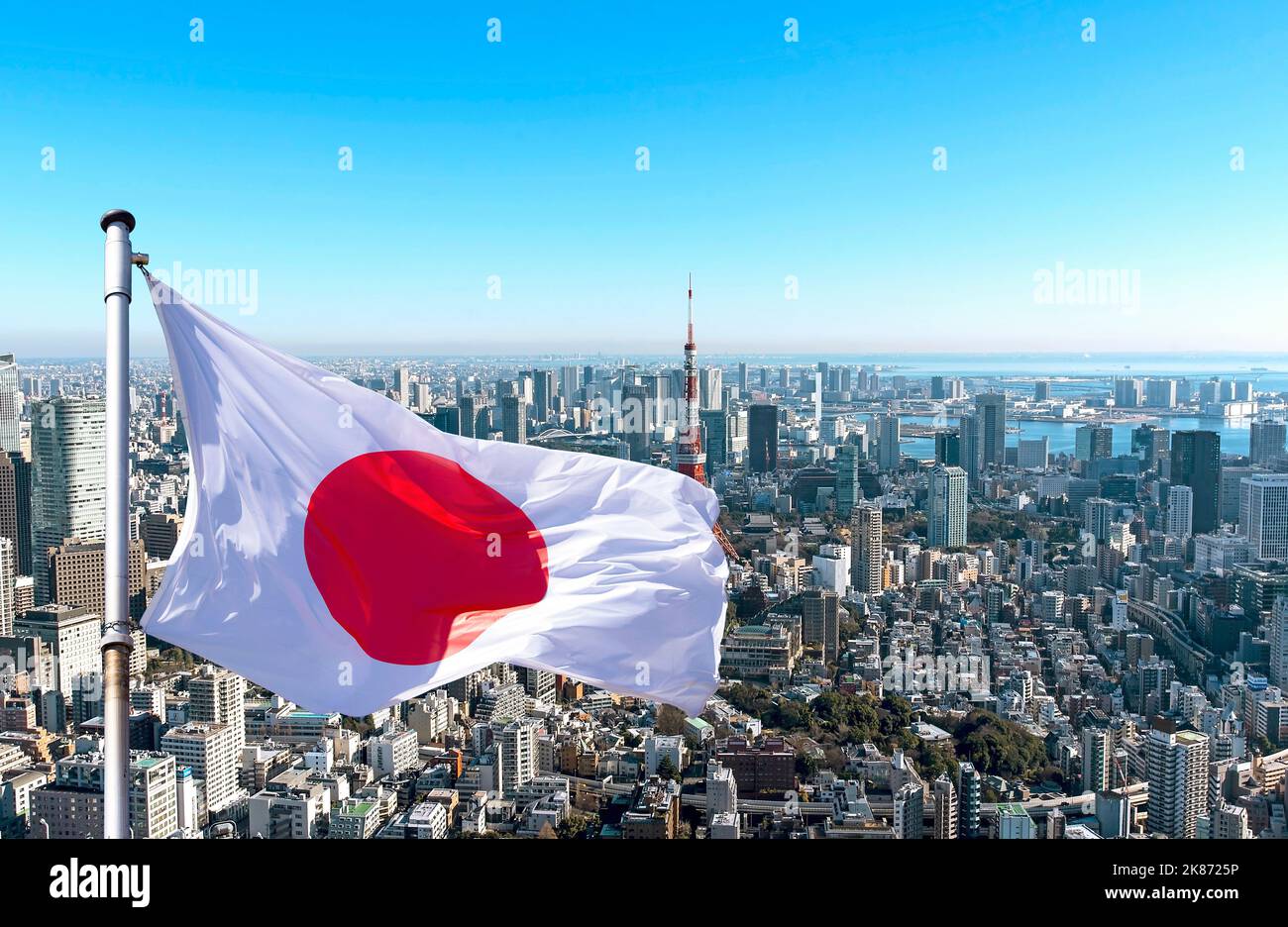 Panoramic view of Tokyo and Japanese flag, Japan Stock Photo - Alamy