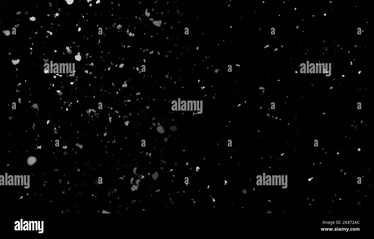 Snowfall, heavy snow, seasonal texture on black background as overlay ...