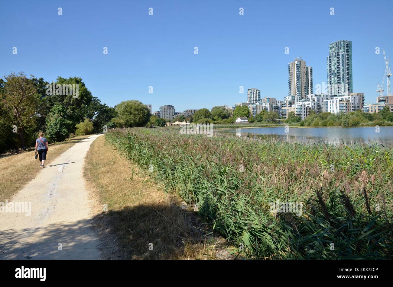 Woodberry Wetlands on the East Reservoir in Stoke Newington, London. It ...