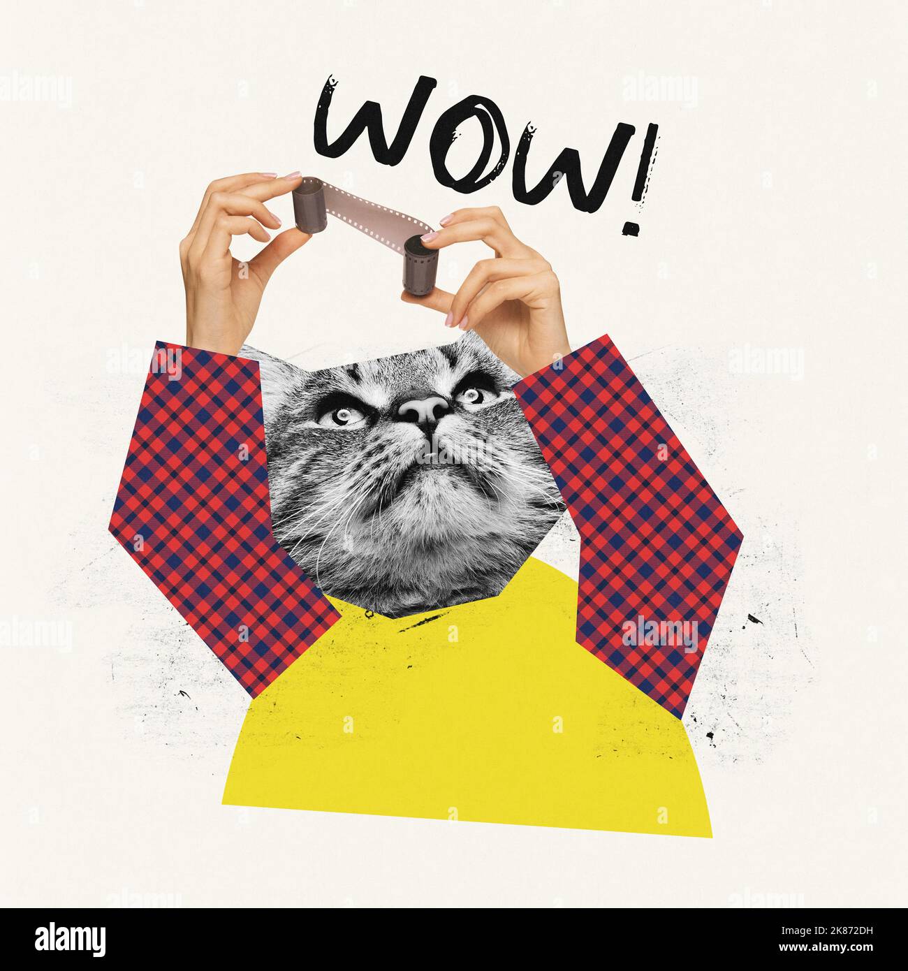 Contemporary art collage. Creative design. Cat's head with human hands ...