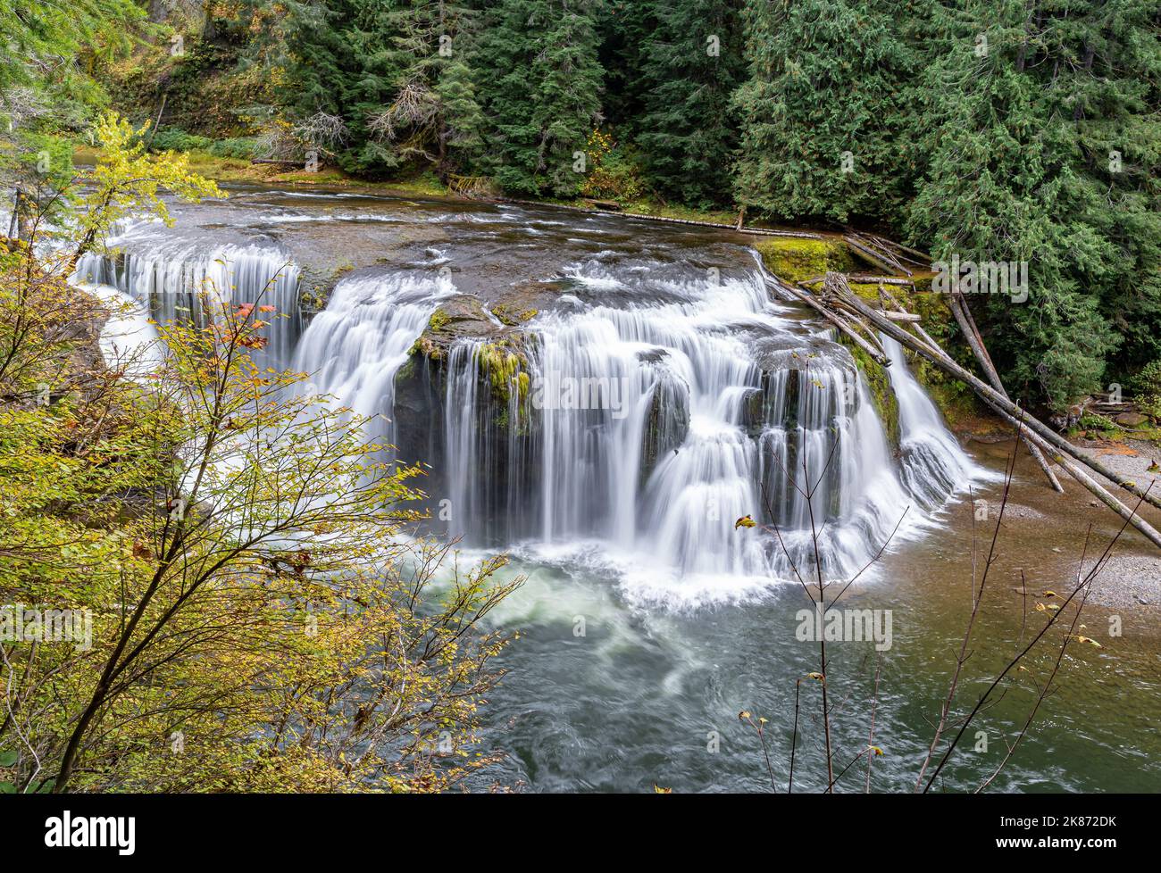 The long exposure view of Lower Lewis River Falls in the forest Stock ...