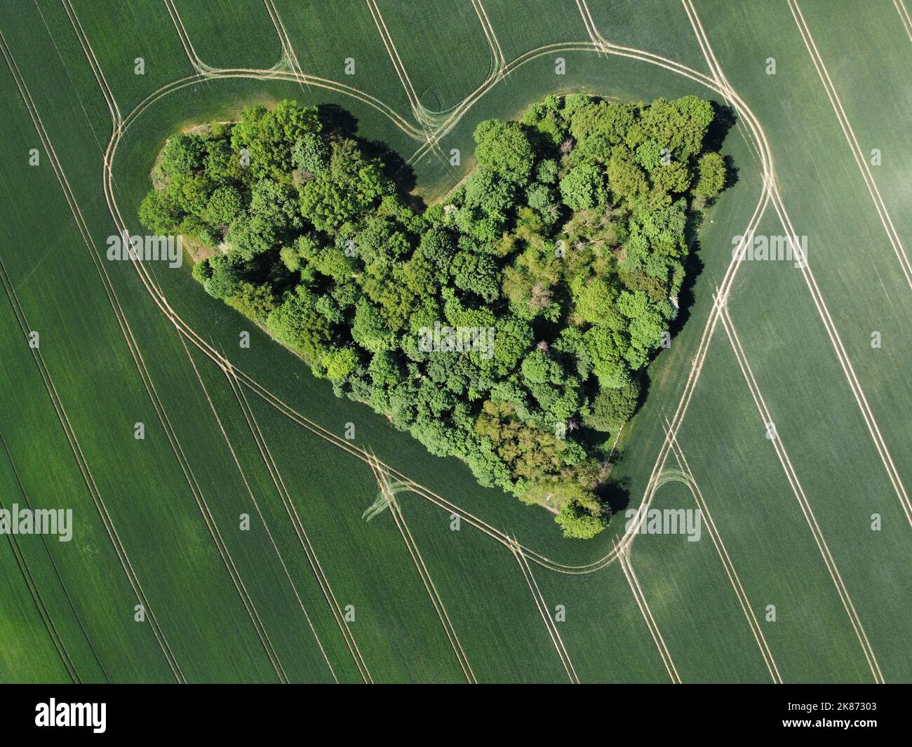 An aerial top view of a heart shaped forest in a field Stock Photo - Alamy