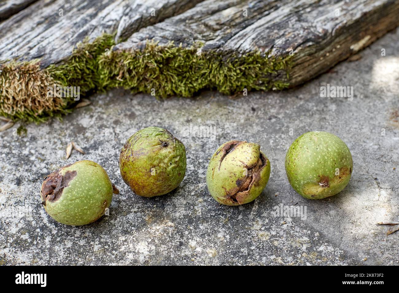 Green nuts on a concrete background Stock Photo - Alamy