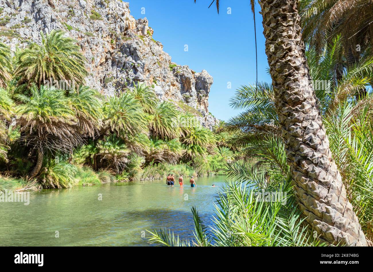 View of River Megalopotamos and Preveli palm forest, Rethymno, Crete ...