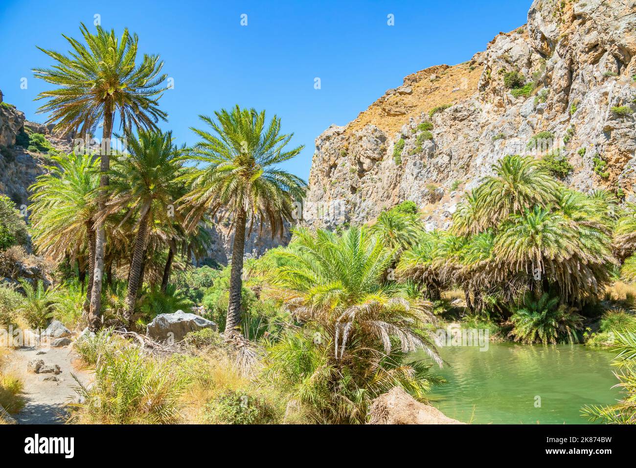 Preveli palm forest, Rethymno, Crete, Greek Islands, Greece, Europe ...