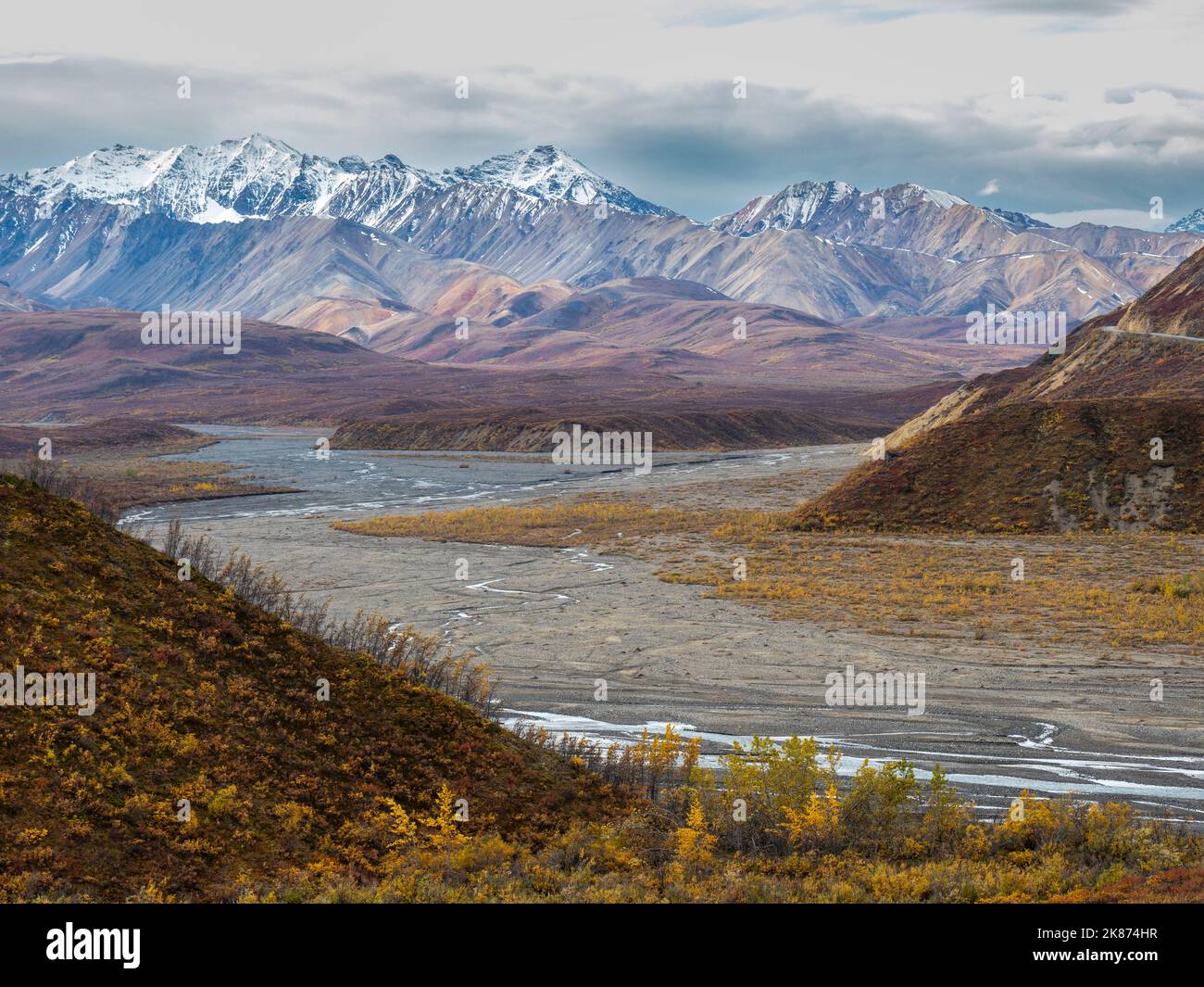 Fall color change amongst the trees and shrubs in Polychrome Pass in ...