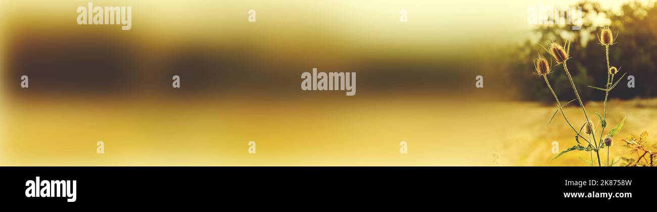 Large banner hi-res stock photography and images - Alamy