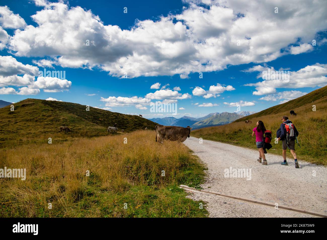 Pale di San Martino, Paneveggio Natural Park, Passo Rolle, Dolomites ...