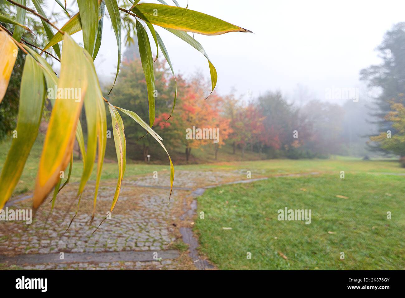 Atatürk arboretum hi-res stock photography and images - Alamy