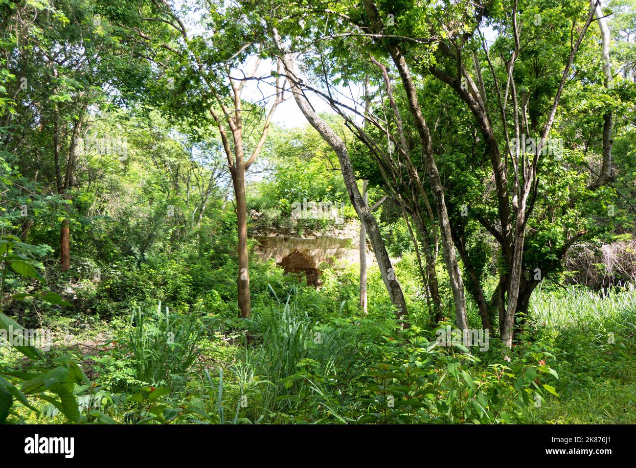 The Maya archeological site of Uxmal in Yucatan, Mexico. Mayan ruins ...