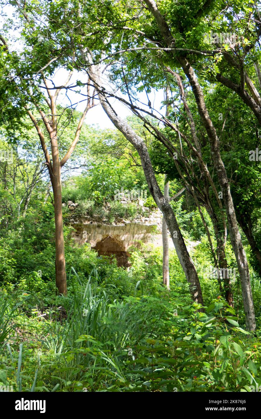The Maya archeological site of Uxmal in Yucatan, Mexico. Mayan ruins ...