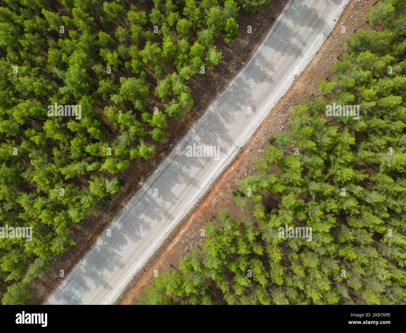 Top down view of road through forest at sunrise Stock Photo - Alamy