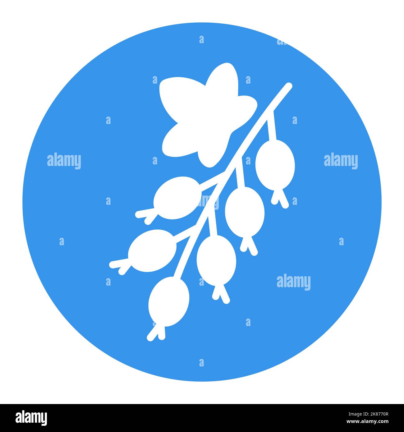 Currant berry vector glyph icon. Graph symbol for food and drinks web ...