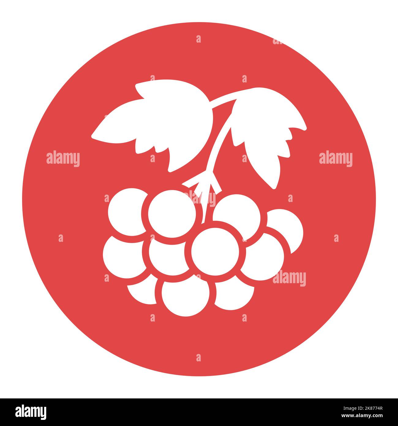Rowan branch with berries and leaf vector glyph icon. Graph symbol for ...