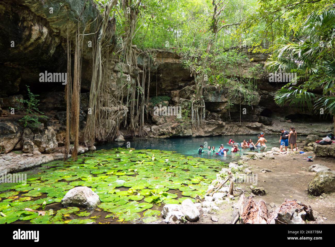 Cenote hi-res stock photography and images - Alamy