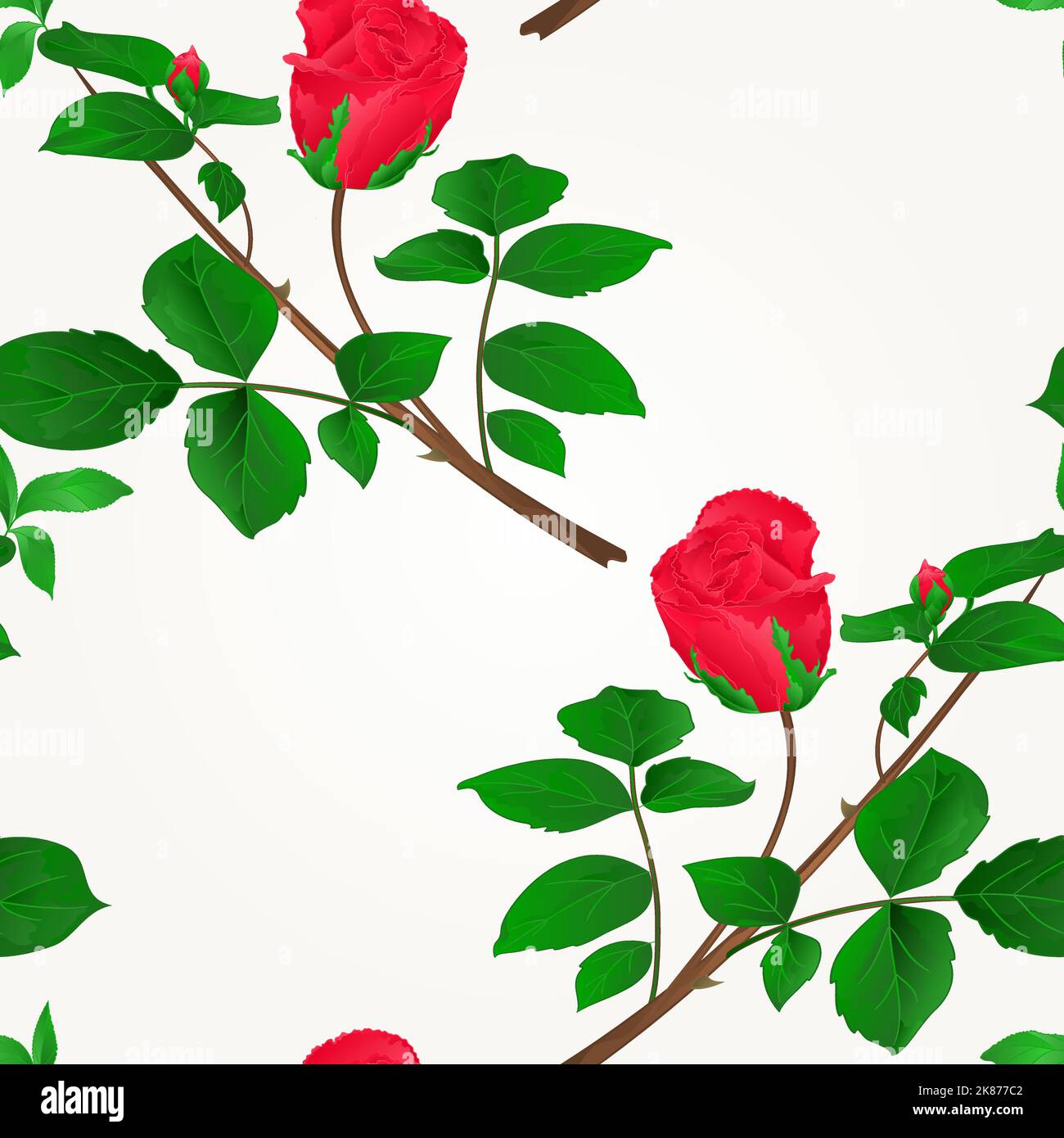 Seamless texture rosebud red stem with leaves and blossoms vintage ...