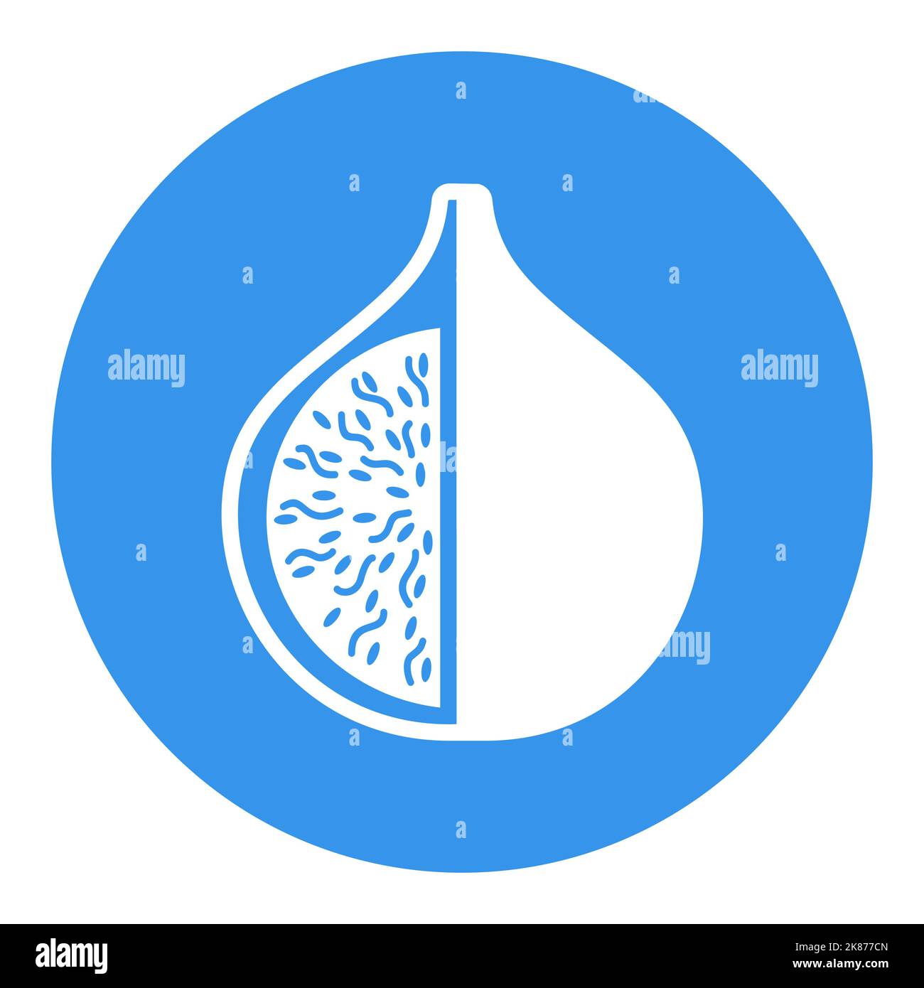 Fig tropical fruit vector glyph icon. Graph symbol for food and drinks ...