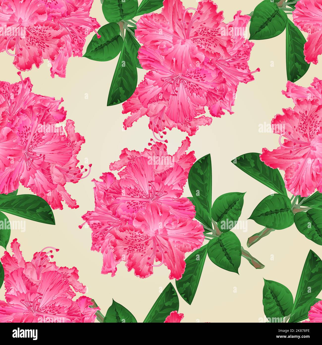 Seamless texture flowers pink rhododendrons twig Mountain shrub vintage ...