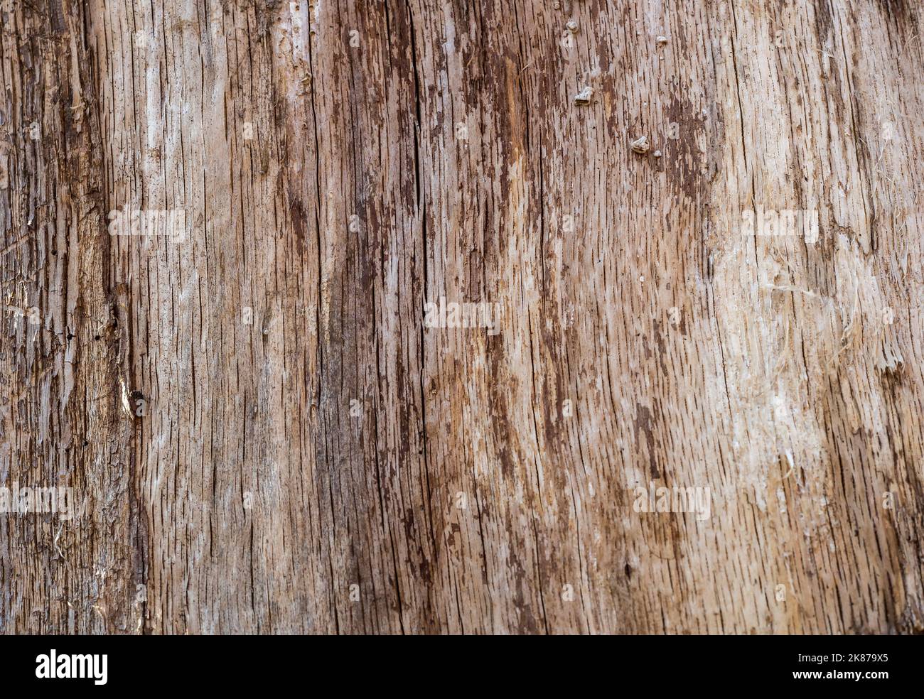 Natural wood surface for texture or background Stock Photo - Alamy